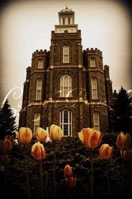 LDS Temple Creations: Logan Temple